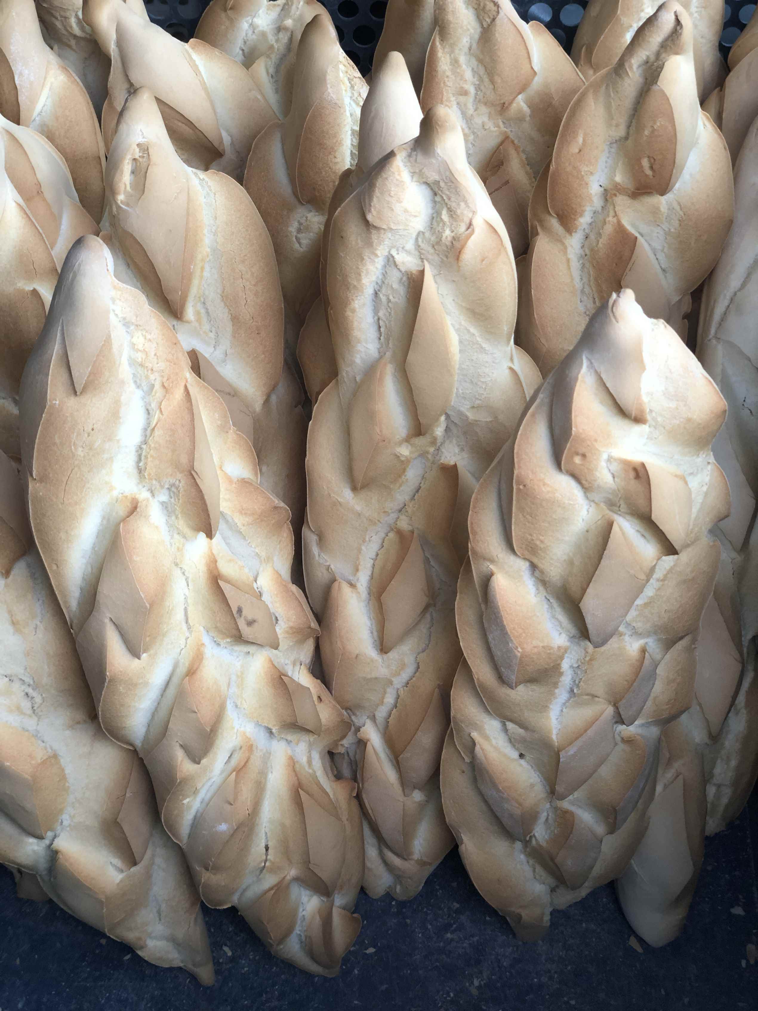 Panadería - Panadería Plaza Villalumbroso